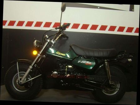 SKY TEAM skyteam-t-rex-125ccm-tuev-07-2024 Gebrauchtmotorrad