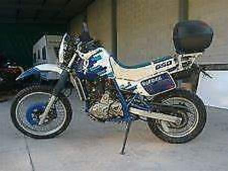 SUZUKI SUZUKI DR 650 DJEBEL Occasione - Il Parking Moto