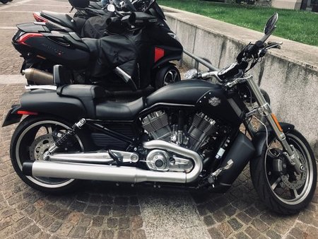 HARLEY DAVIDSON harley-v-rod-1250 occasion - Le Parking