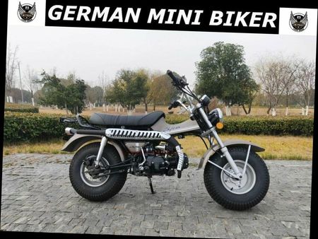 SKY TEAM skyteam-t-rex-125-injection-euro-5-20th-anniversary-034 ...