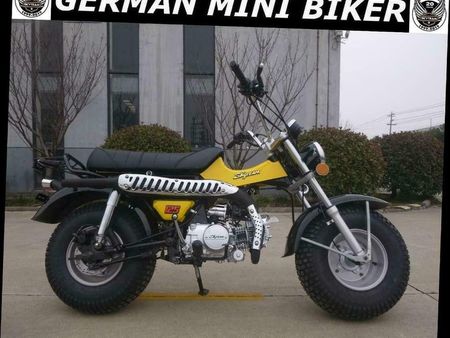 SKY TEAM skyteam-t-rex-125-club-s-injection-de-luxe-euro-5 occasion ...