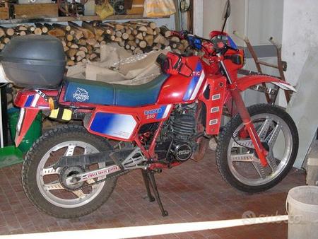 FANTIC MOTOR 2-fantic-raider-125-cc-del-84 Gebrauchtmotorrad