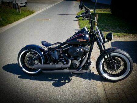 HARLEY DAVIDSON harley-davidson-flstsb-softail-cross-bones-crossbones ...