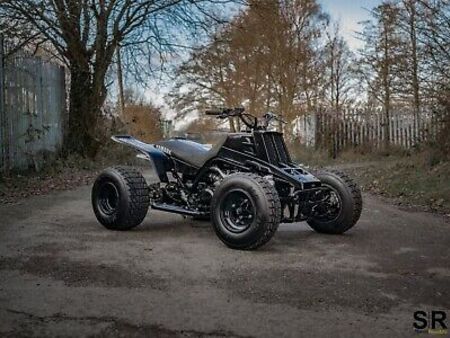 YAMAHA yamaha-banshee-350-yfz350-road-legal-restored-mint-condition ...