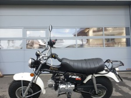 SKY TEAM skyteam-t-rex-125 tweedehands - De Parking