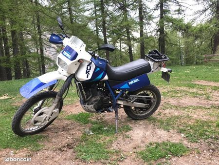 SUZUKI suzuki-djebel-650-dr Gebrauchtmotorrad