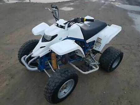 YAMAHA 2005-yamaha-yfs-200-blaster-later-model-with-front-disks-dry ...