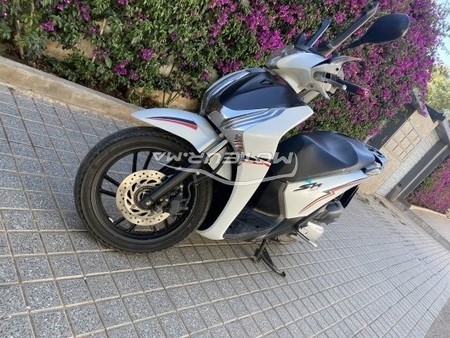 La Maison Honda Sh Maroc | Ventana Blog