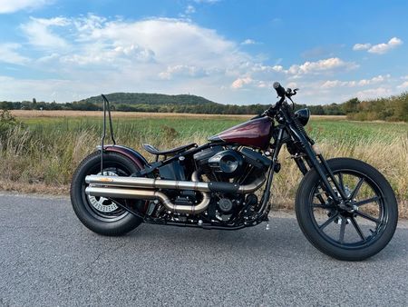 HARLEY DAVIDSON harley-davidson-softail-heritage-evo-springer-panhead ...