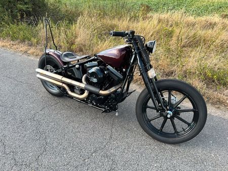 HARLEY DAVIDSON harley-davidson-softail-evo-springer-custom-panhead ...
