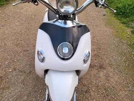 ZNEN znen-zn-50-qt-8-falcon-8-roller-45-km-h-bj-2019-km-1000-wie-neu ...