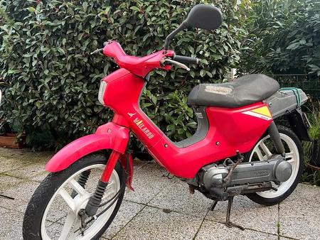 HONDA honda-wallaroo occasion - Le Parking