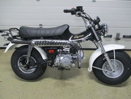 SKY TEAM skyteam-t-rex-125i-neu-mod-23-rv occasion - Le Parking