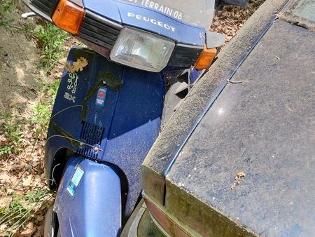 PEUGEOT 2-scooters-peugeot-80-cc-sx-collector occasion - Le Parking