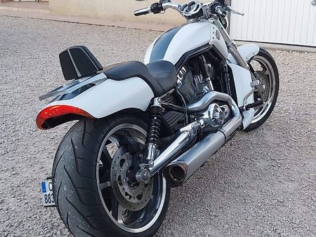 HARLEY DAVIDSON harley-davidson-v-rod-muscle occasion - Le Parking