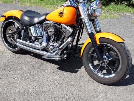 HARLEY DAVIDSON harley-davidson-softail-custom occasion - Le Parking