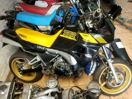 YAMAHA yamaha-tdr-250-mit-17-zoll-umbau-und-neuem-motor occasion - Le ...