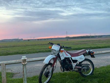 HONDA honda-mtx Used - the parking motorcycles